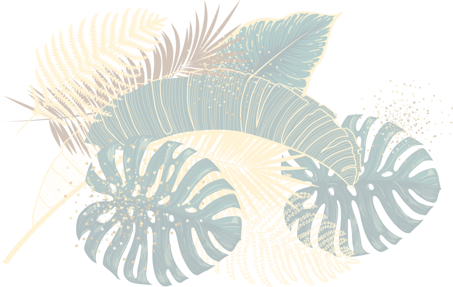 About | The Palm Lounge